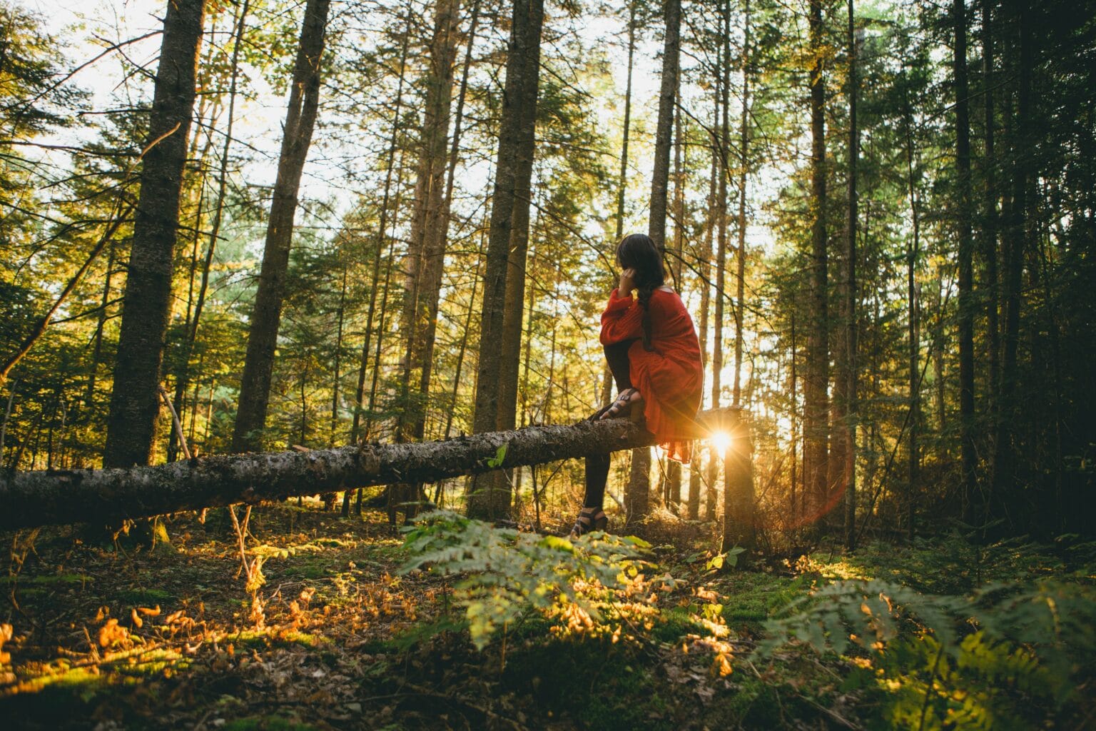 8 Ways To Reconnect With The Earth + Immerse Yourself In Nature | Dr ...