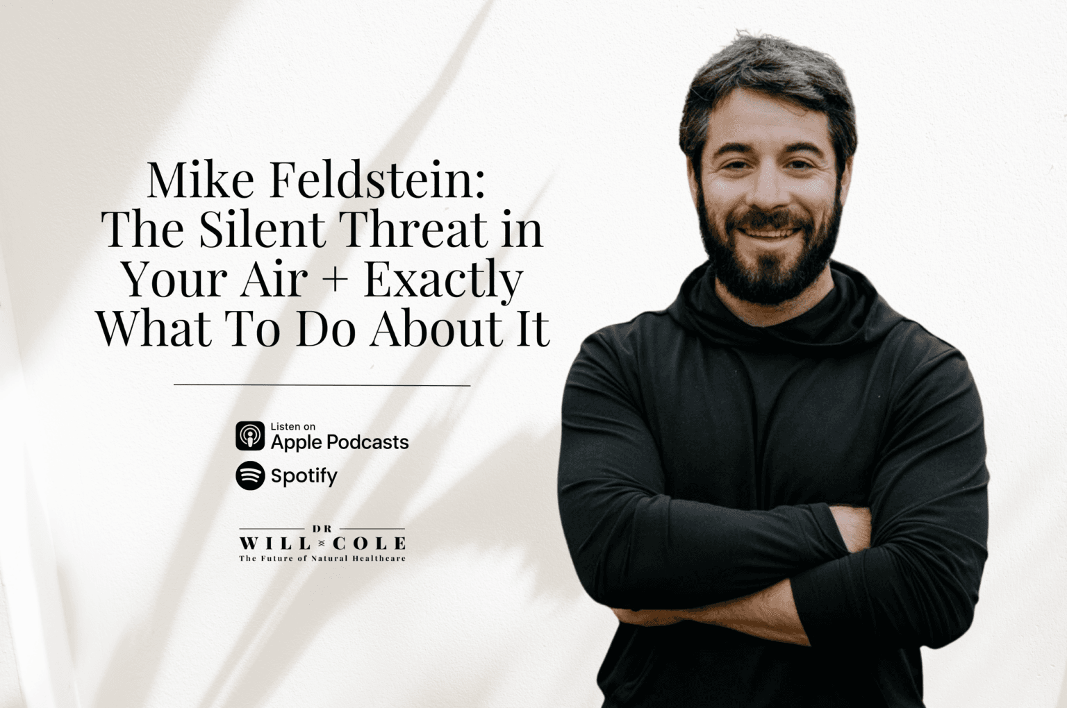 Mike Feldstein: The Silent Threat In Your Air + Exactly What To Do ...